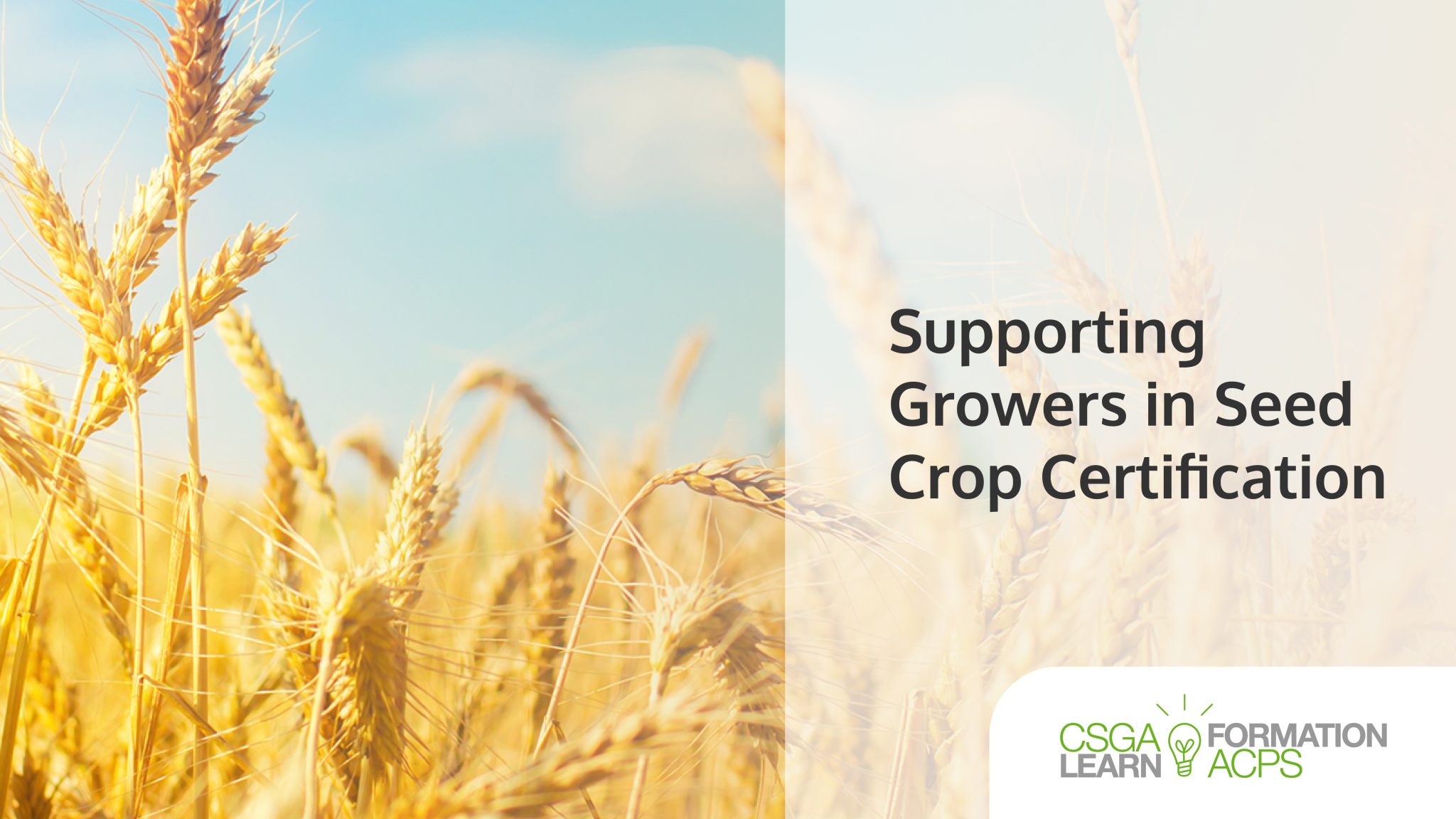 Seed Growers - Getting Started in Seed Production