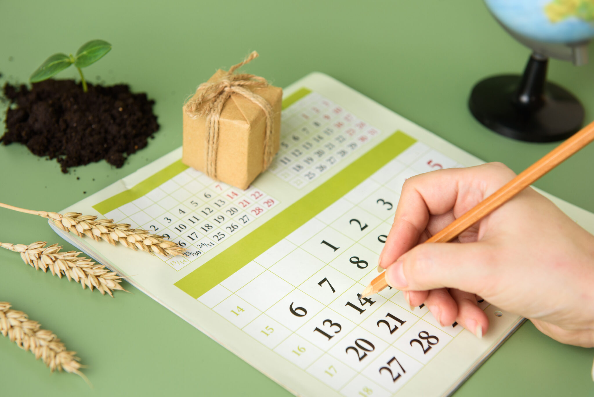 December 11, 2024 - Canadian Seed Growers' Association